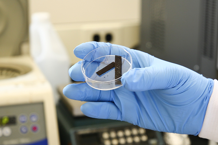 Low-cost catalyst from U of T Engineering boosts hydrogen production ...
